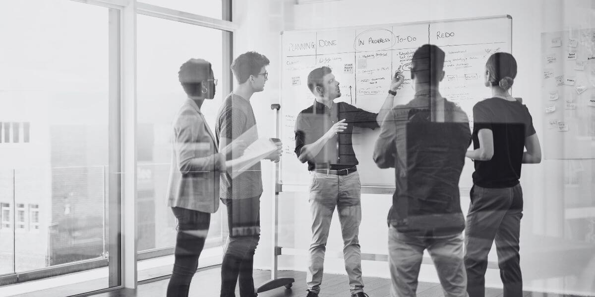 Cultivating Team Unity for Organizational Success - Pintail Solutions